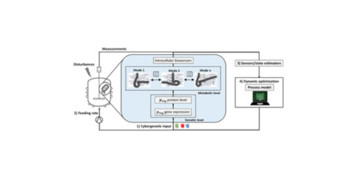 Neuer Artikel Toward A Modeling Optimization And Predictive Control